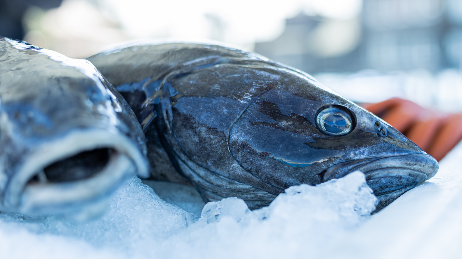 How Kroger Makes Cooking Seafood Easier Than Ever