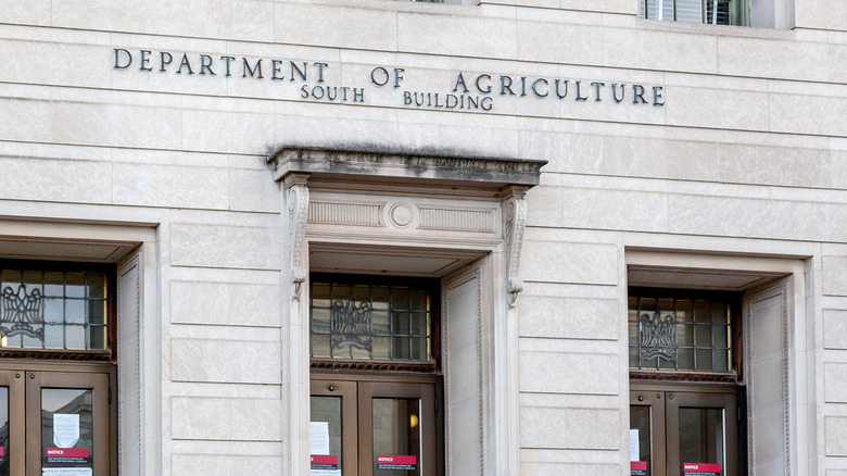 How The Food Pyramid Has Changed Over Time