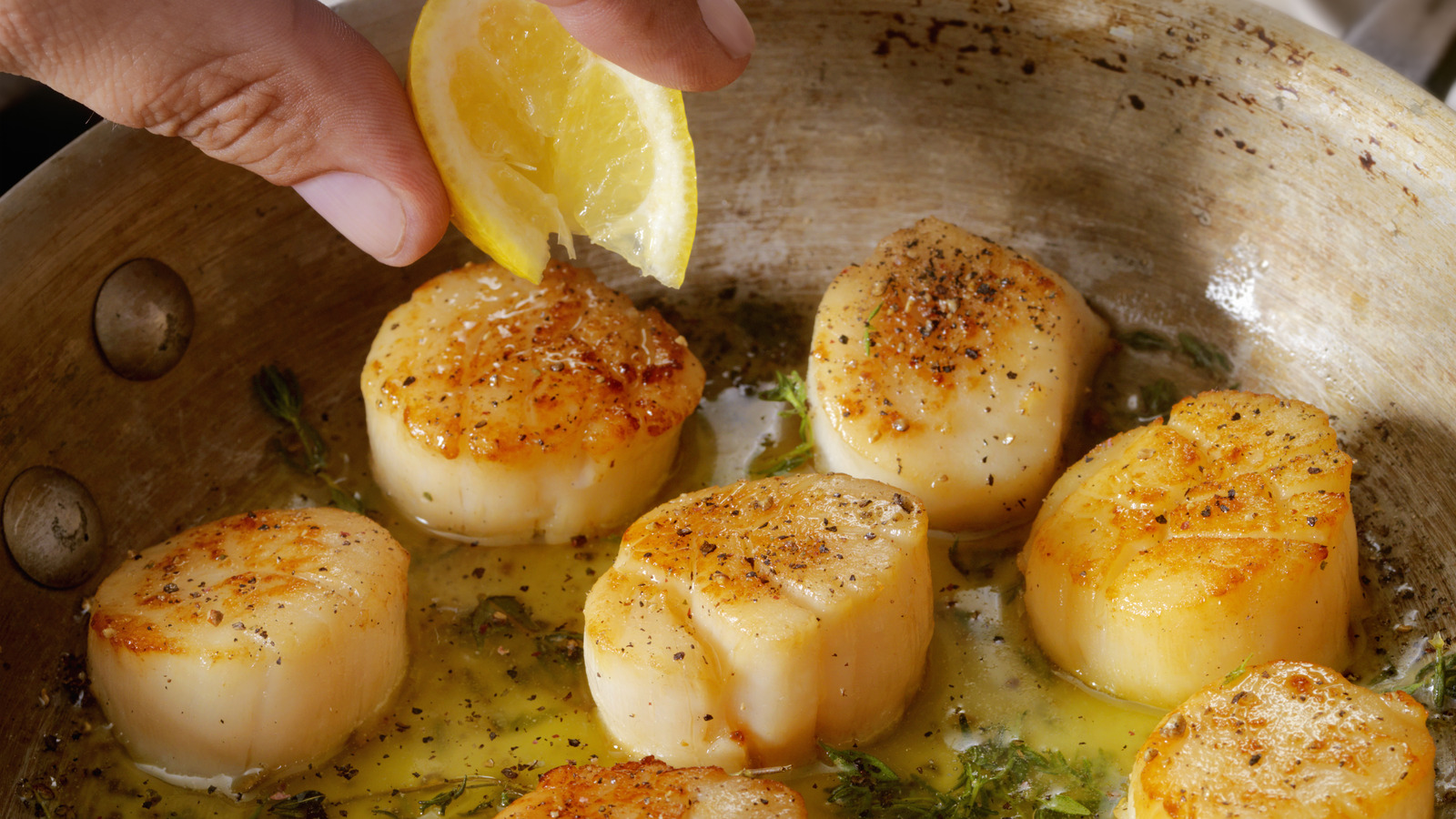 How To Pick Out Female Scallops And Why You Should