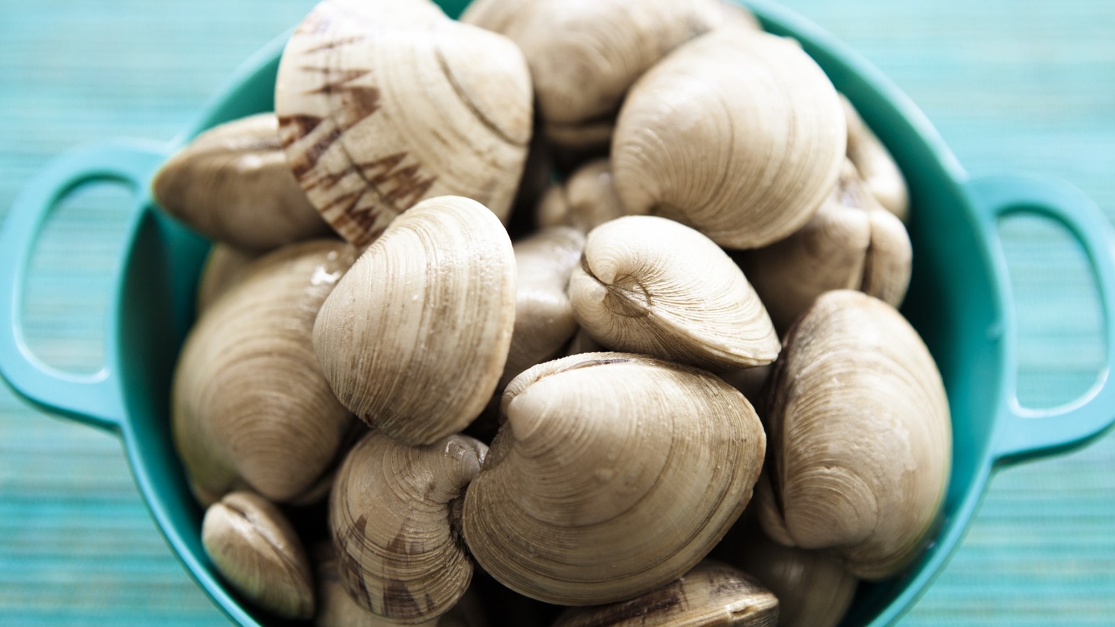 How To Pick The Freshest Clams At The Fish Market
