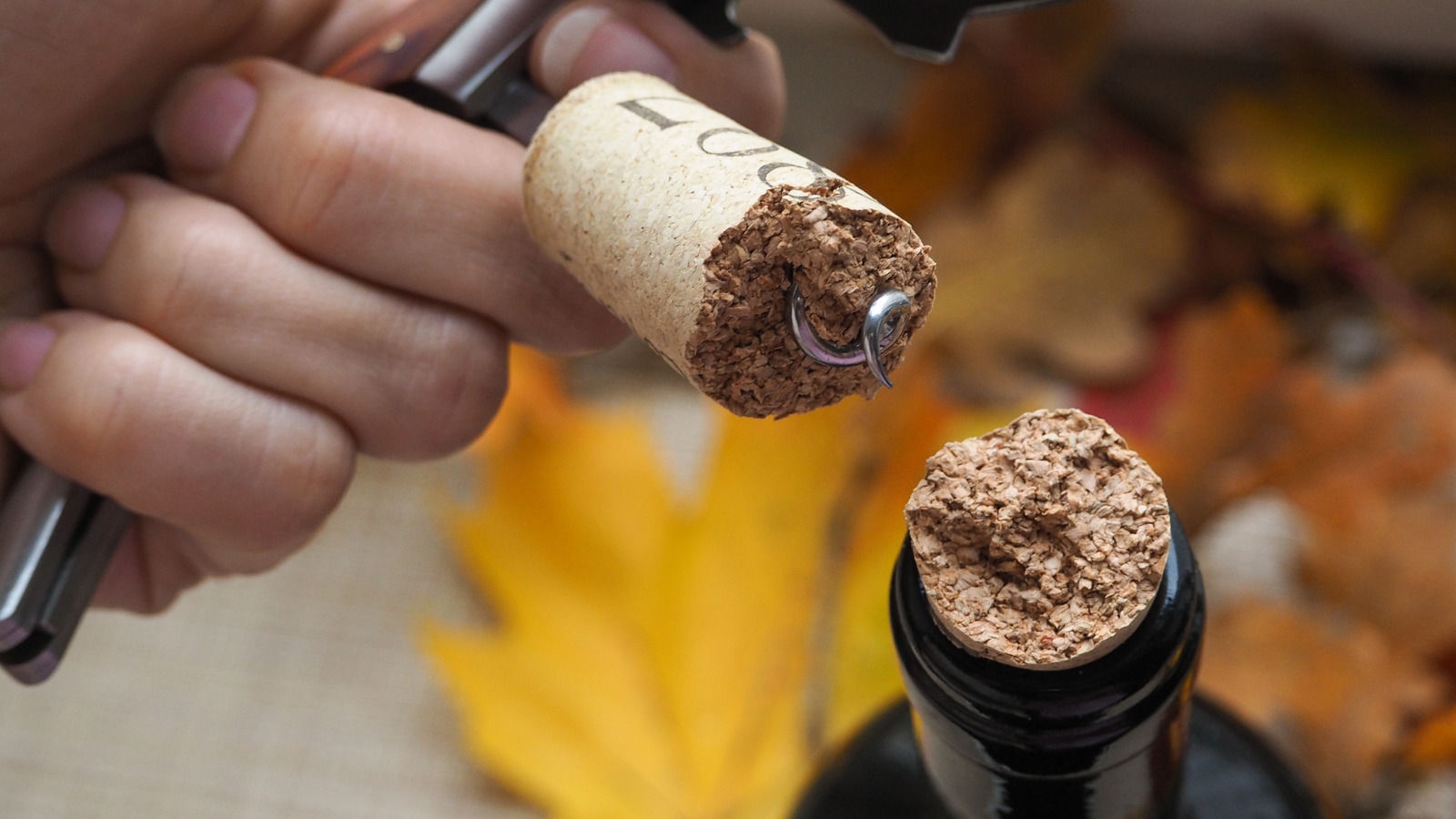 How To Remove A Broken Cork From A Wine Bottle