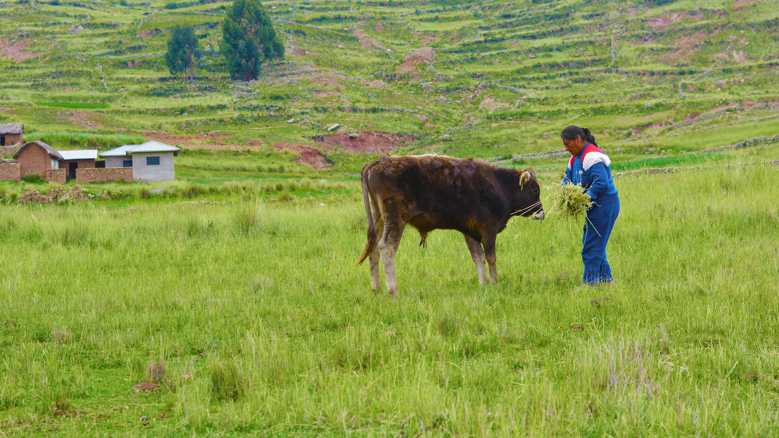 Indigenous Agricultural Practices May Be The Alternative To Plant-Based ...