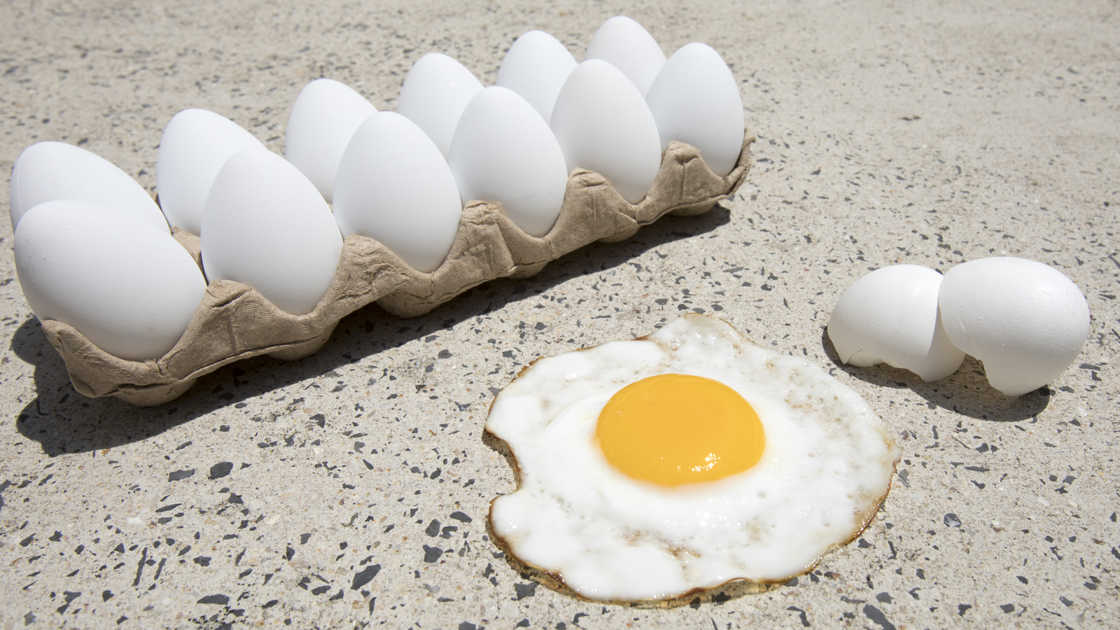 Is It Possible To Cook Food With The Sun?