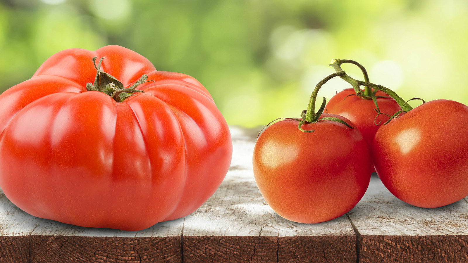 The Difference Between Beefsteak Vs Vine Tomatoes
