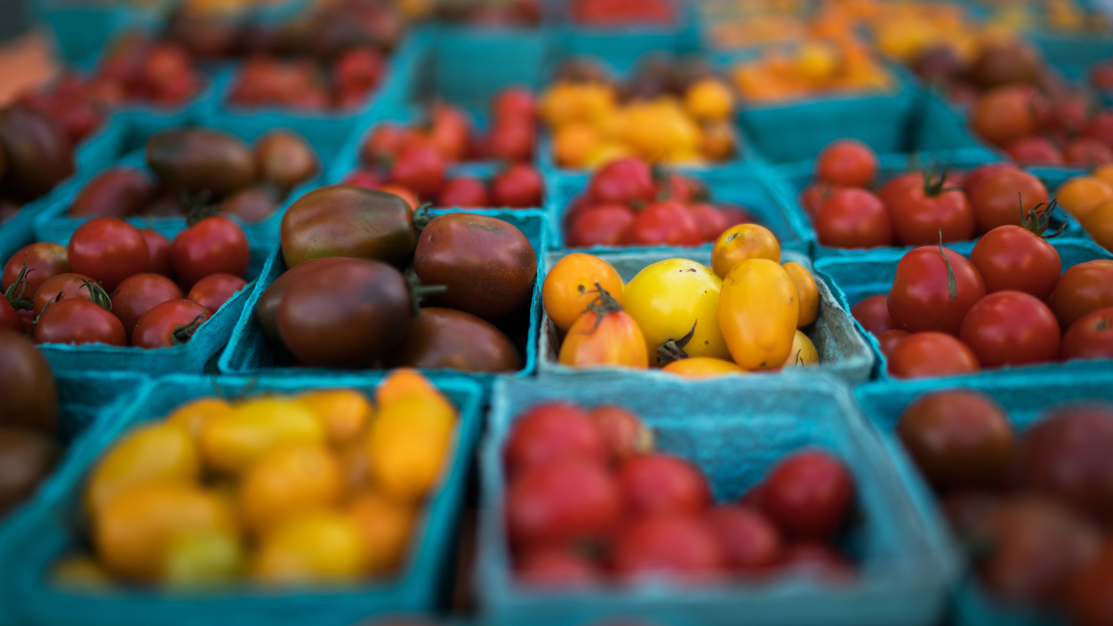 Is There Really A Difference Between Cherry And Grape Tomatoes?