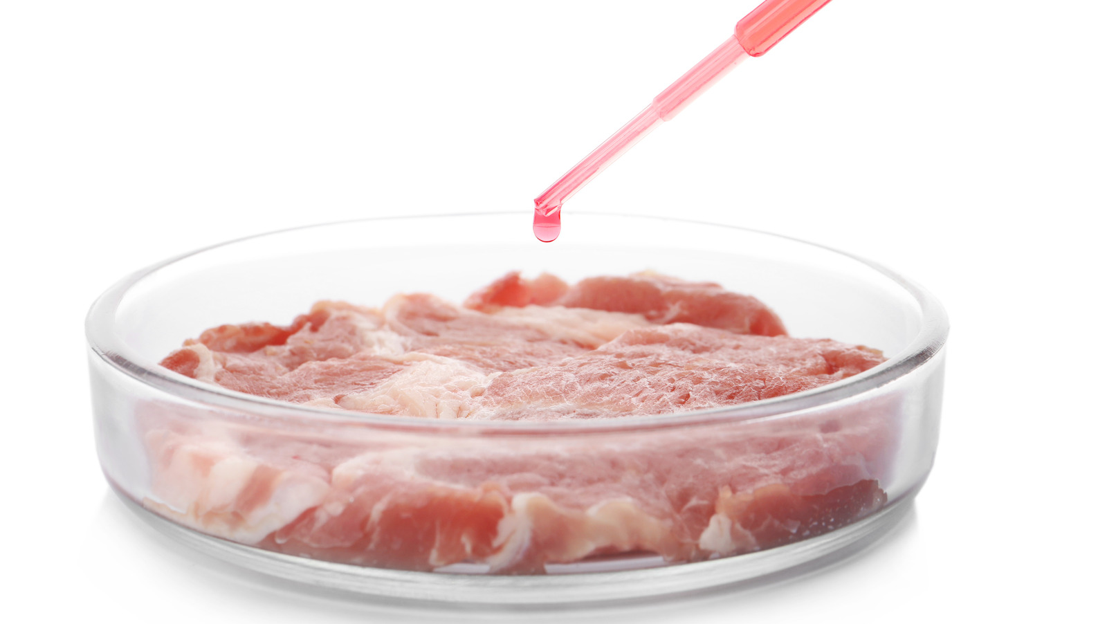 Israeli Chief Rabbi Issues Religious Ruling On Cultivated Meat