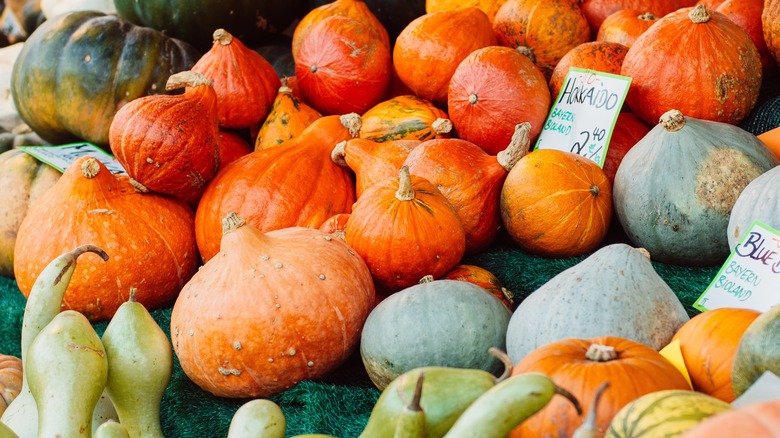 Japan's Red Kuri Squash Adds Nutty Flavor To Winter Meals