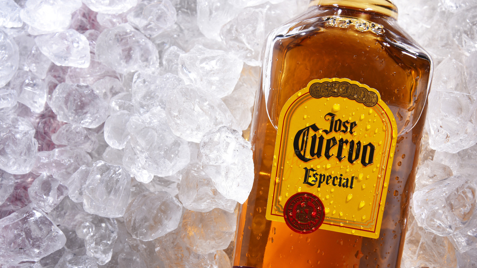 Jose Cuervo Is Sending 1,000 People $50 To Celebrate Cinco De Mayo