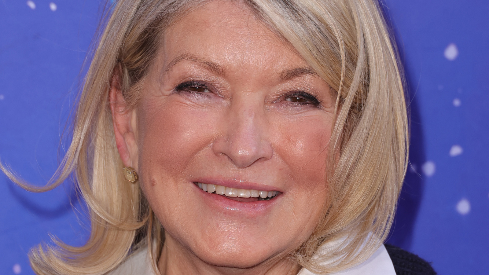 Martha Stewart's Broken Whisk Hack For Whimsical Sugar Floss