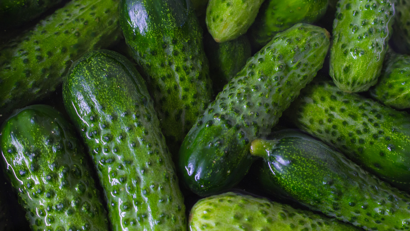 Moonshine Pickles Are The Boozy Snack You Should Have Your Eye On