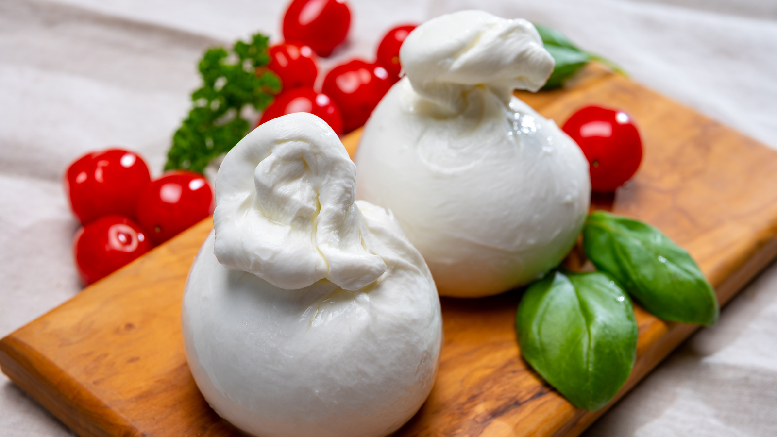 Buffalo Mozzarella Vs Burrata Sale Price Brunofuga adv br Buffalo Mozzarella Vs Burrata Sale Price Brunofuga adv br