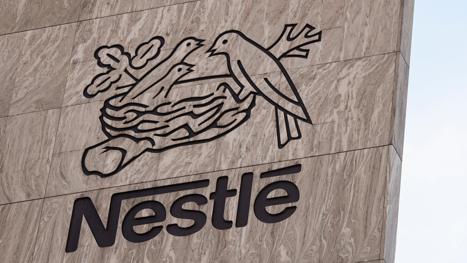 Nestlé Is Focusing On 'Smeals' In 2023, But What Are They?