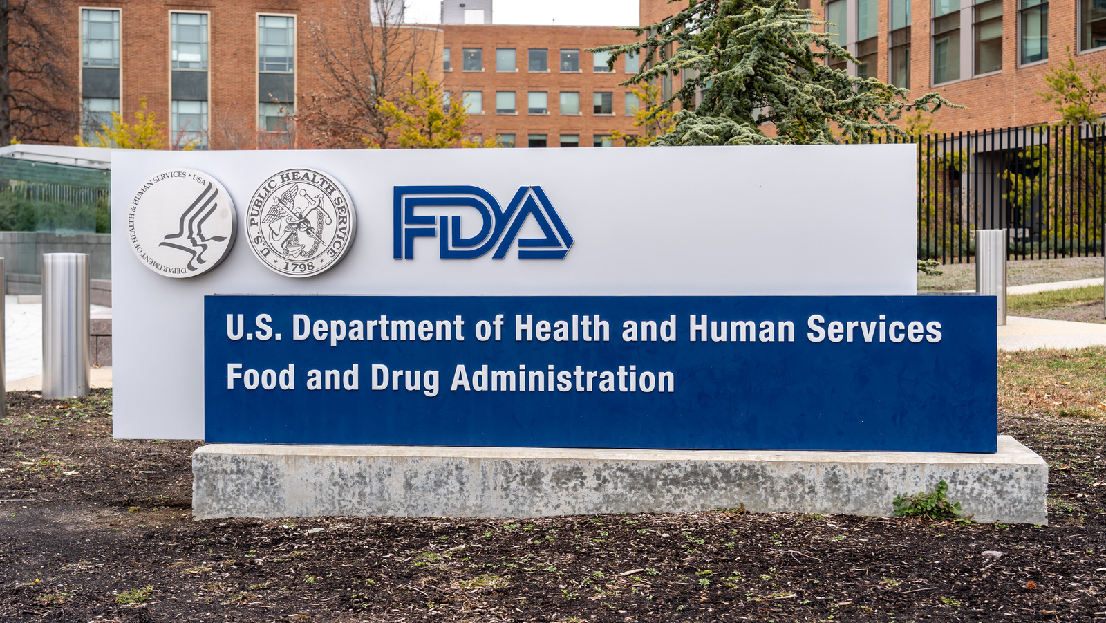 New Report Suggests Inadequacies In The Management Of The FDA