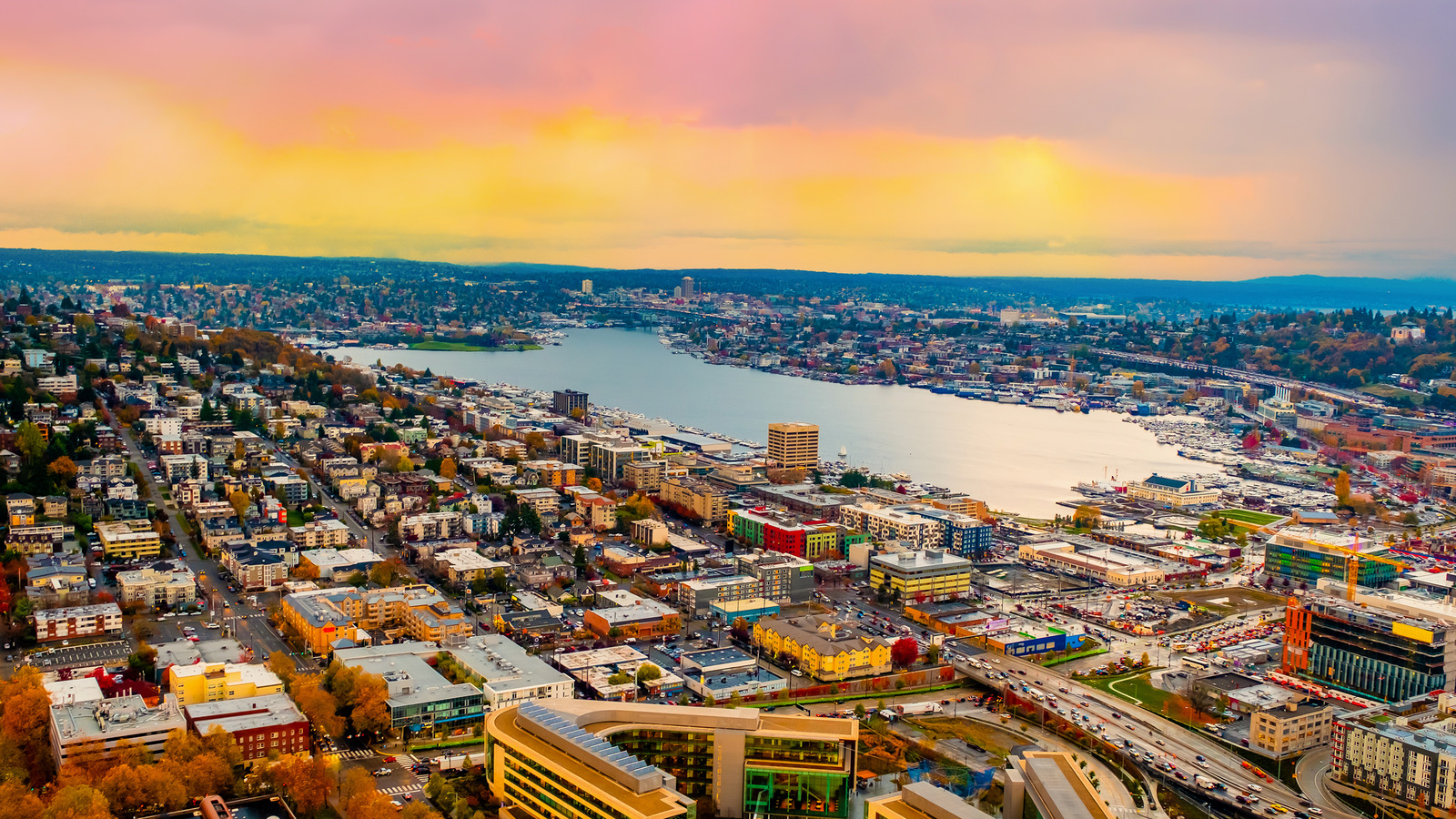 Off Alley: A Tiny 12-Seat Seattle Restaurant That Serves Up Big Flavors