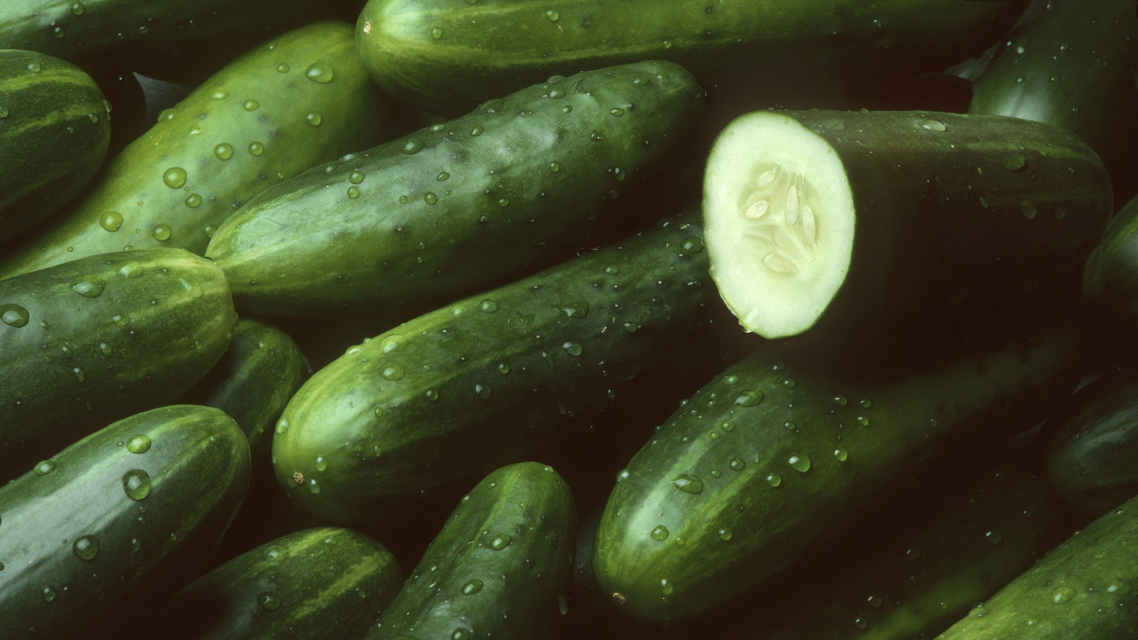 Pay Close Attention To Color To Choose The Absolute Best Cucumber