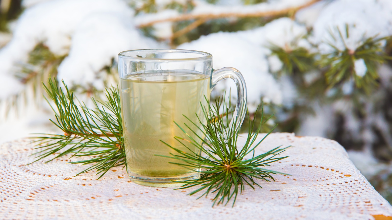 Pine Needle Tea Is The Refreshing Drink You Can Make Without Going To ...