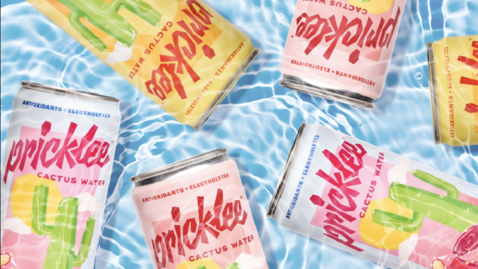 Pricklee After Shark Tank: We Caught Up With One Of The Founders