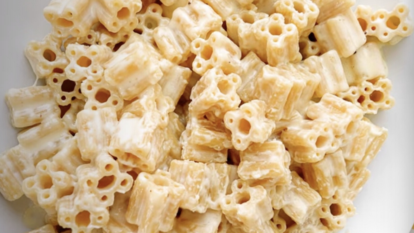 Quattrotini Is The Revamped Pasta Shape Perfect For Sauce Lovers