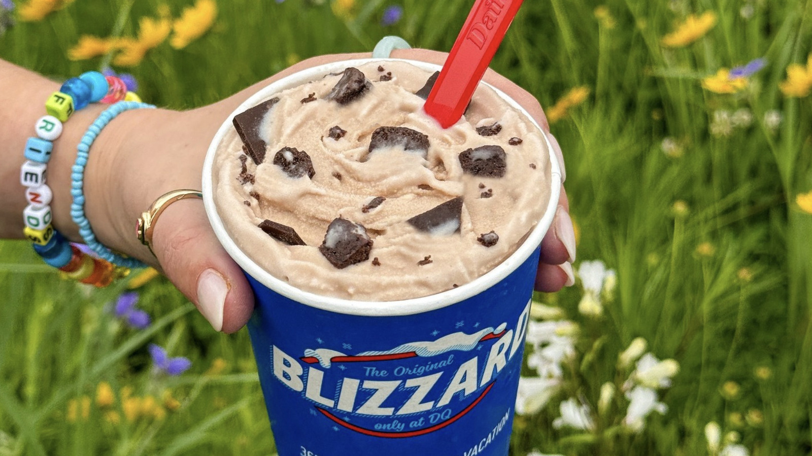 DIY Dairy Queen Blizzards: How To Pull It Off With Your KitchenAid