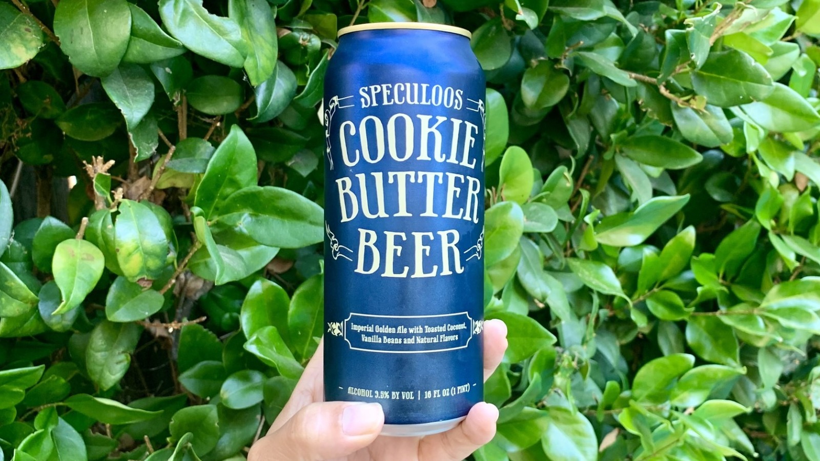 Trader Joe's Speculoos Cookie Butter Beer Review