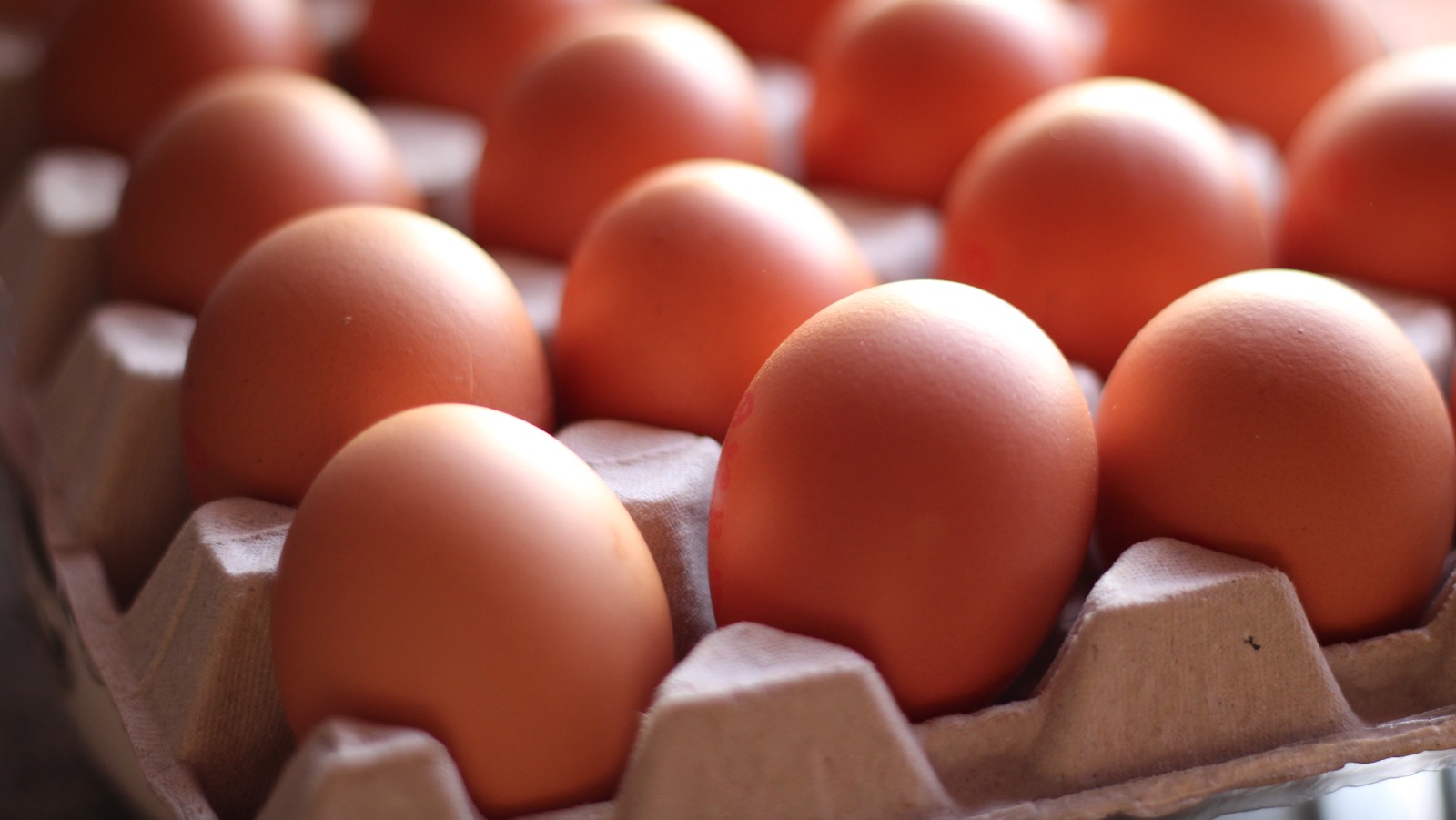 Salmonella Outbreak Linked To Eggs From Wisconsin Farm
