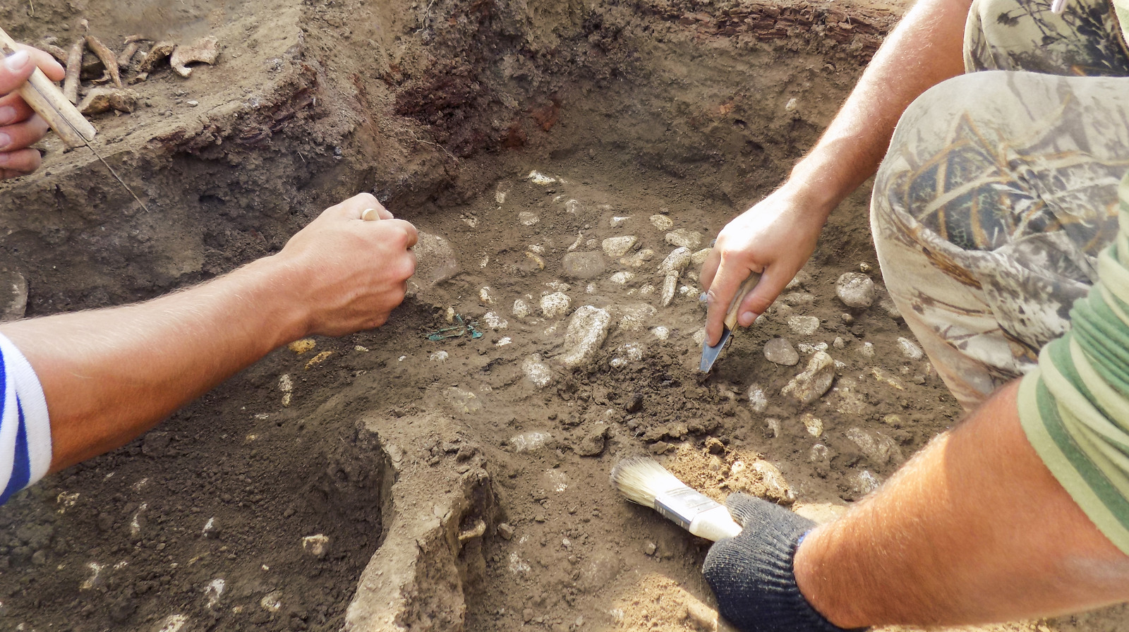 Scientists Have Found What Could Be The Earliest Evidence Of Cooking