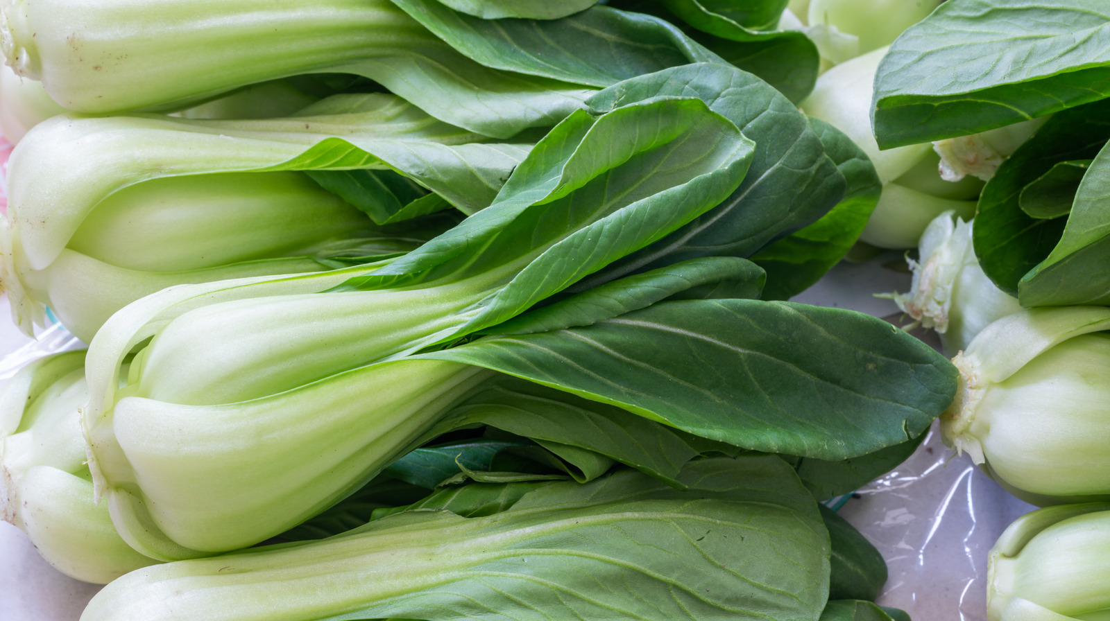 Slice Your Bok Choy In Half For Better Cleaning