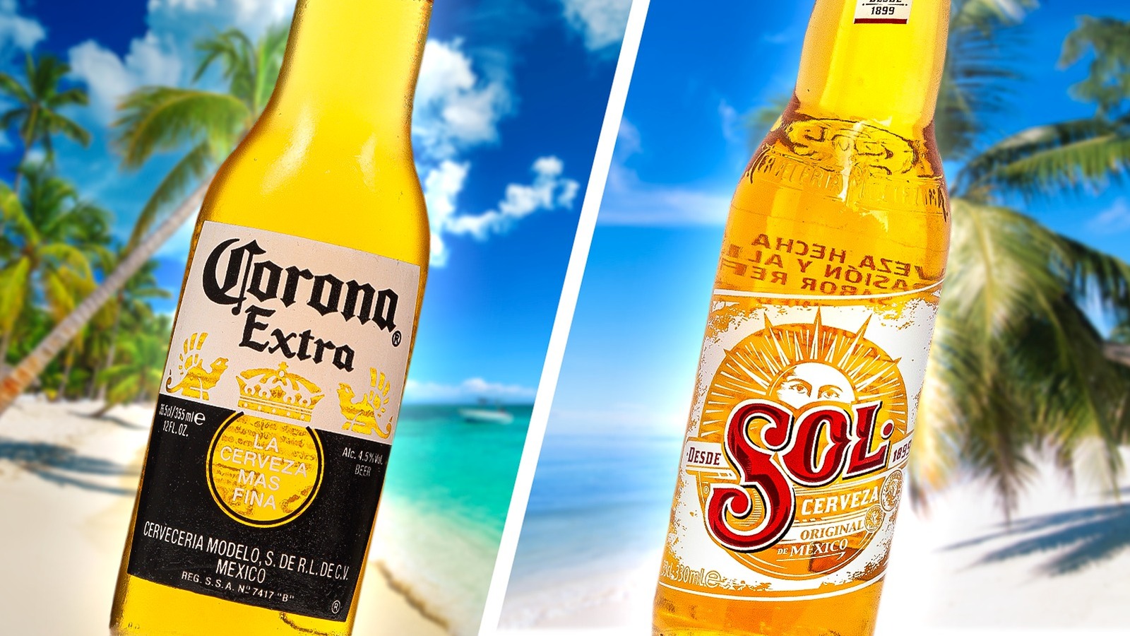 Sol Beer Vs Corona: What's The Difference?