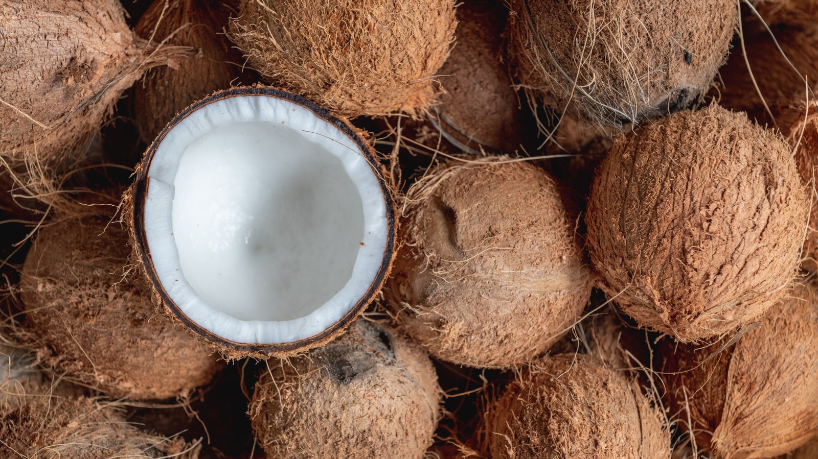 Can You Use Coconut Shells In Your Smoker?