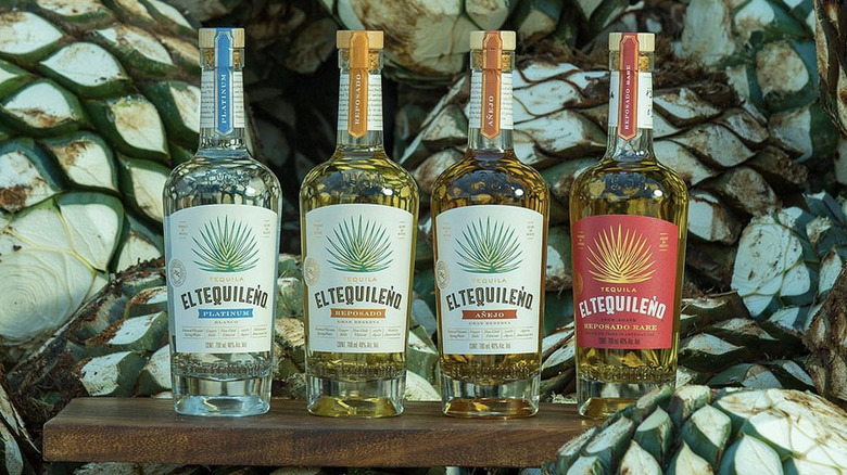 25 Popular Tequila Brands, Ranked Worst To Best