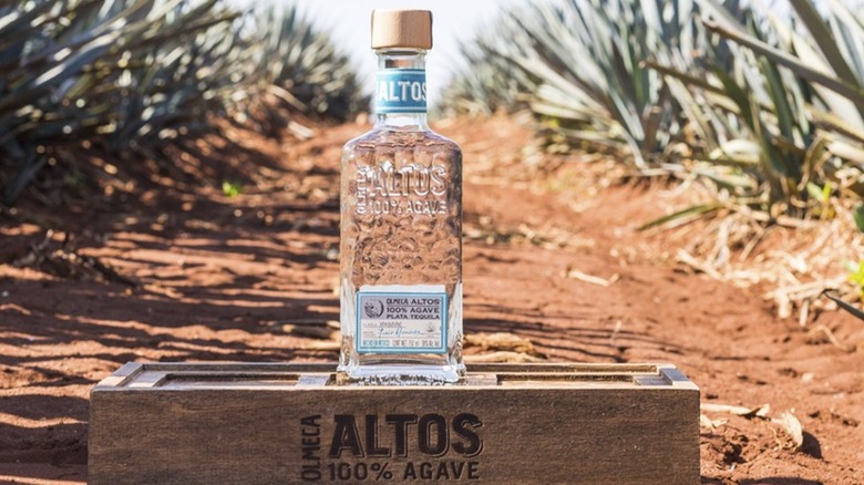 25 Popular Tequila Brands, Ranked Worst To Best