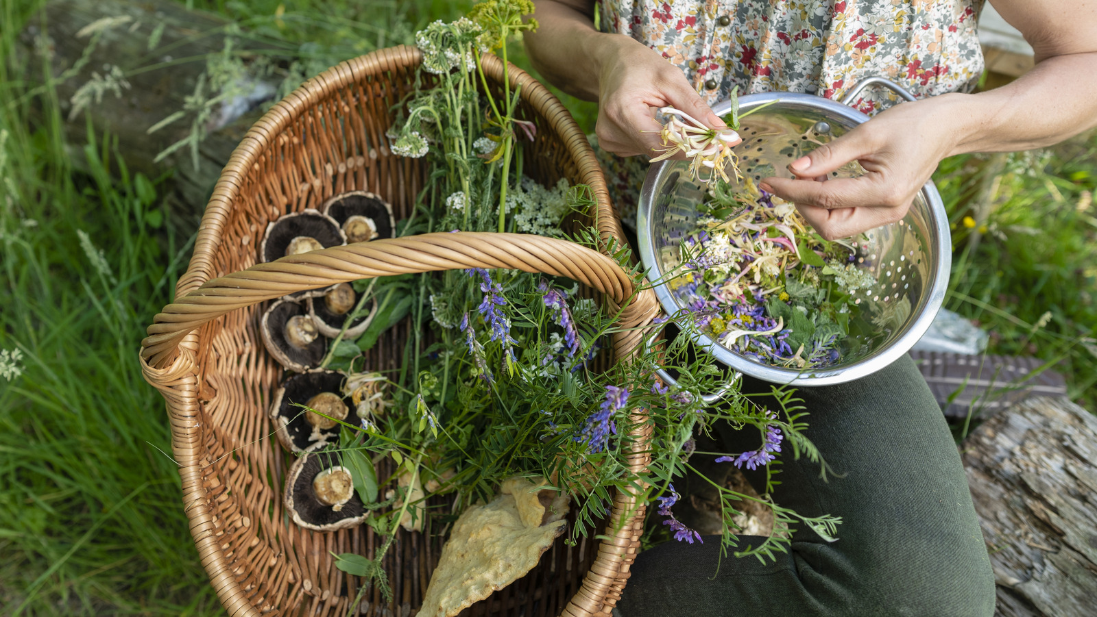 The 2 Easiest Snacks For Foraging Beginners
