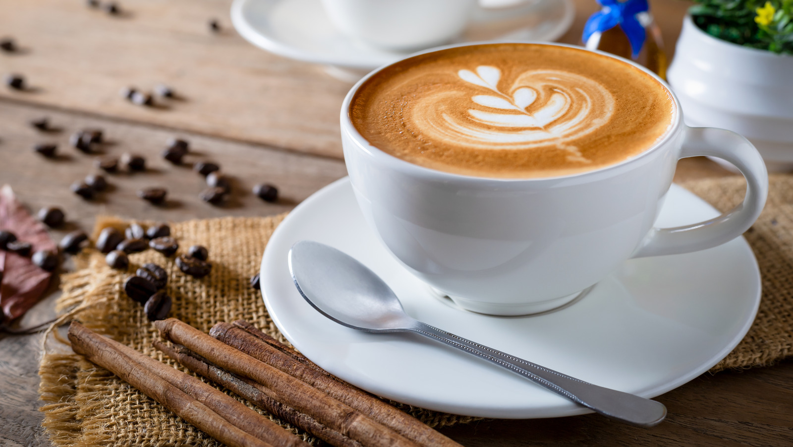 The 2 Types Of Acids That Can Be Found In Your Coffee