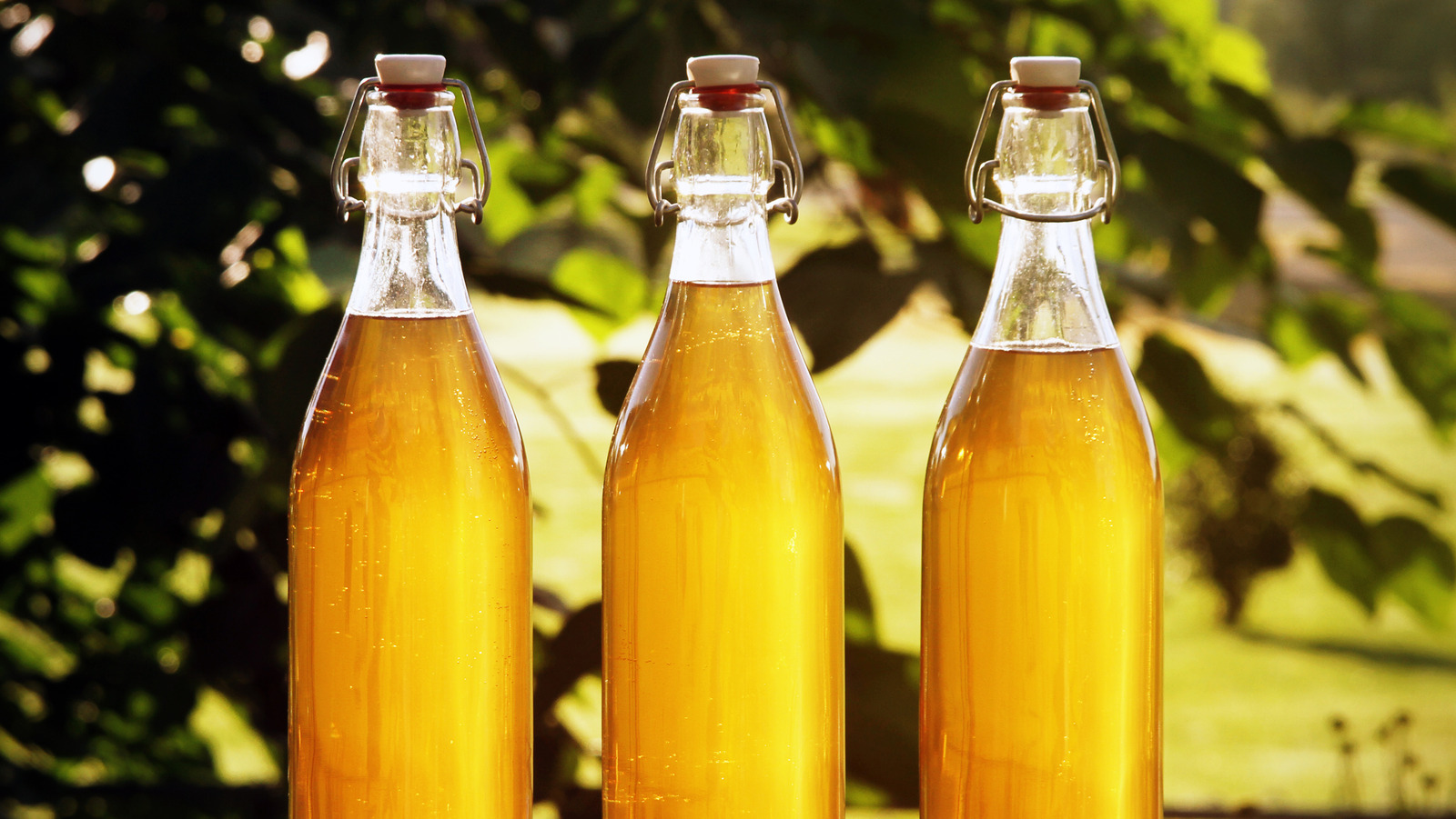 The Absolute Best Mead Brand Contains A World Of Flavor