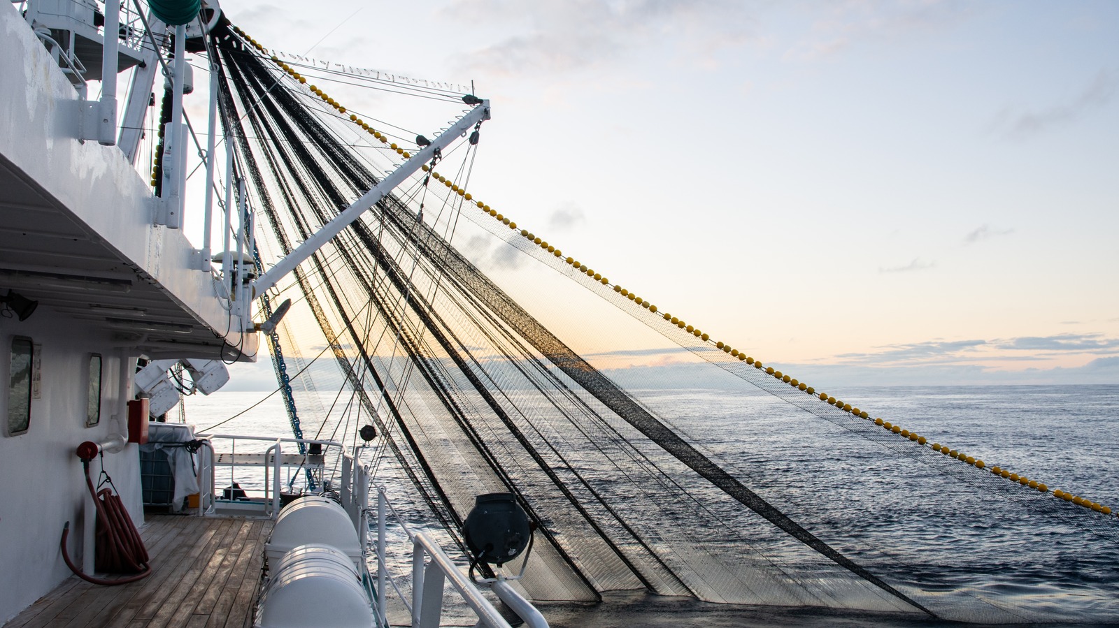 The Ancient Italian Tuna Fishing Art Of Mattanza