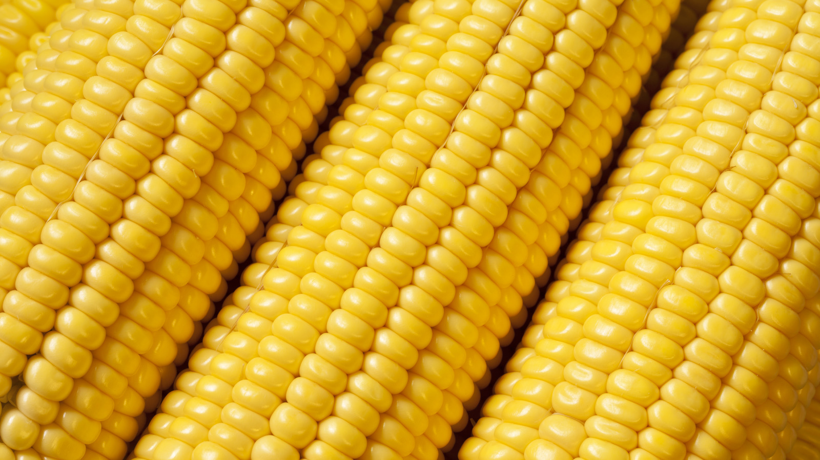 The Best Way To Cut Corn Off The Cob