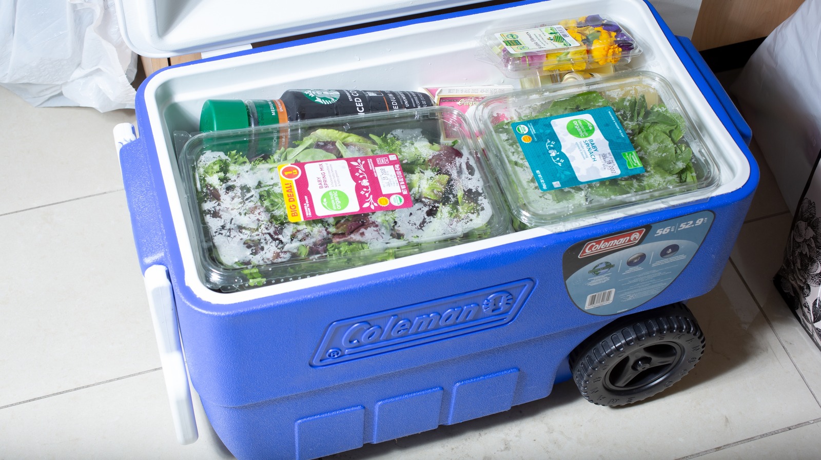 The Best Way To Set Up Your Cooler For Outdoor Cooking