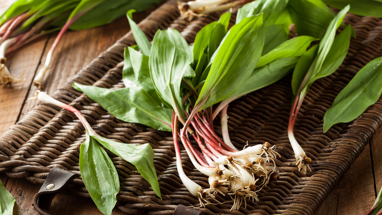 How To Store Ramps In The Refrigerator And Freezer