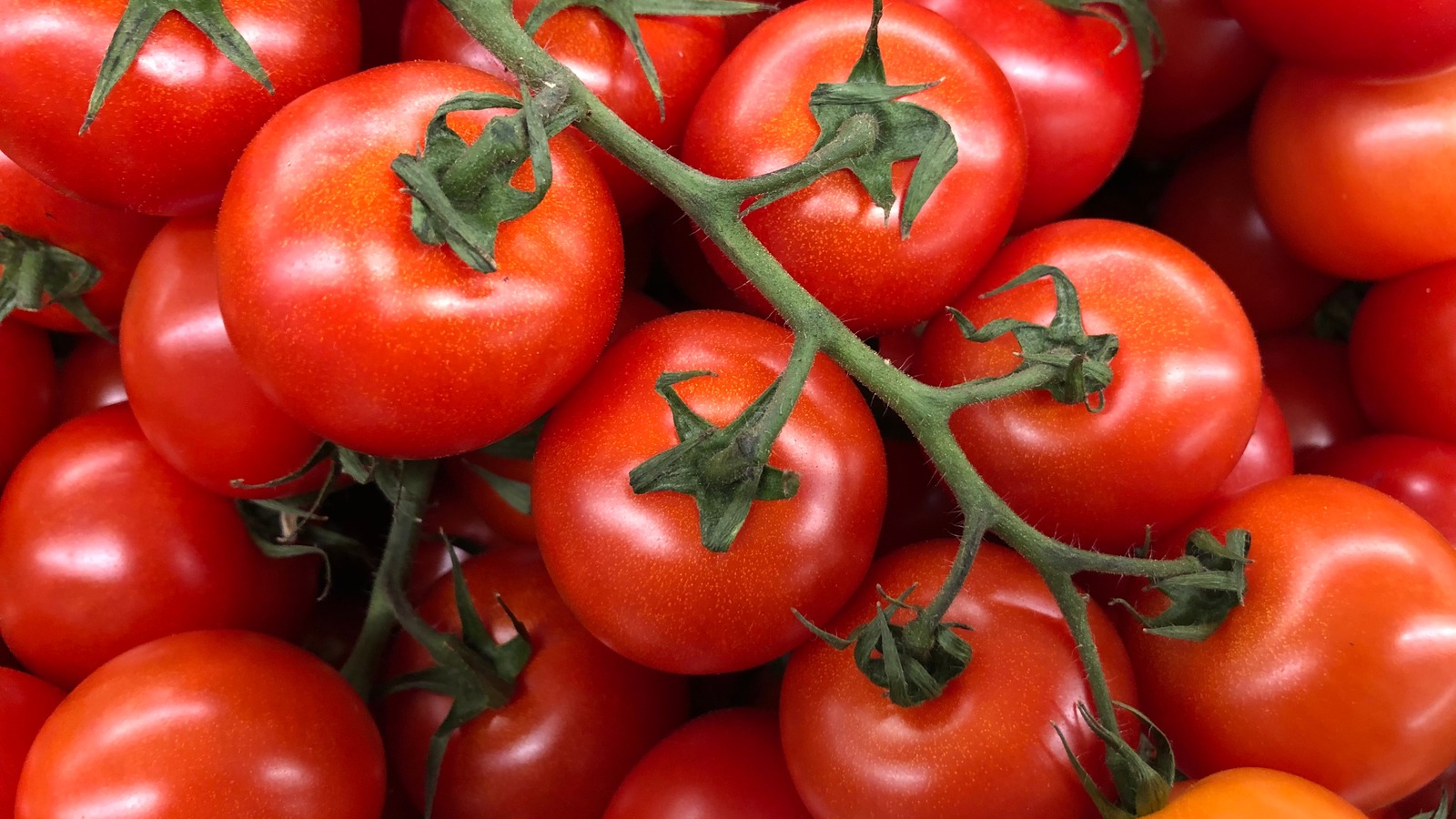 The Box Grater Method For Prepping Tomatoes With Less Mess