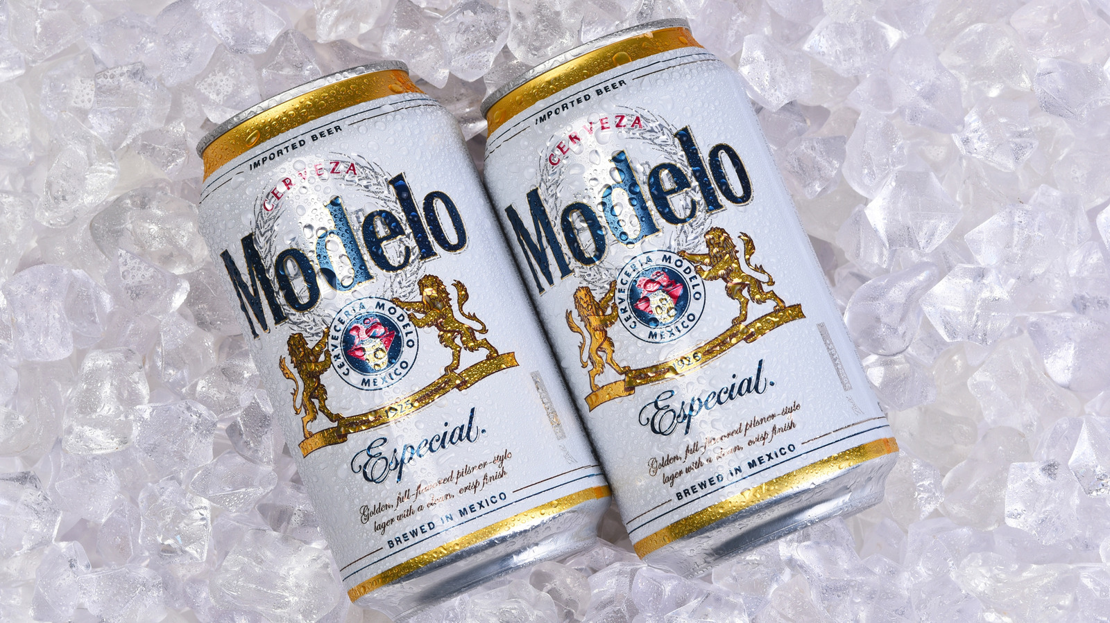 Who Owns Modelo Beer?