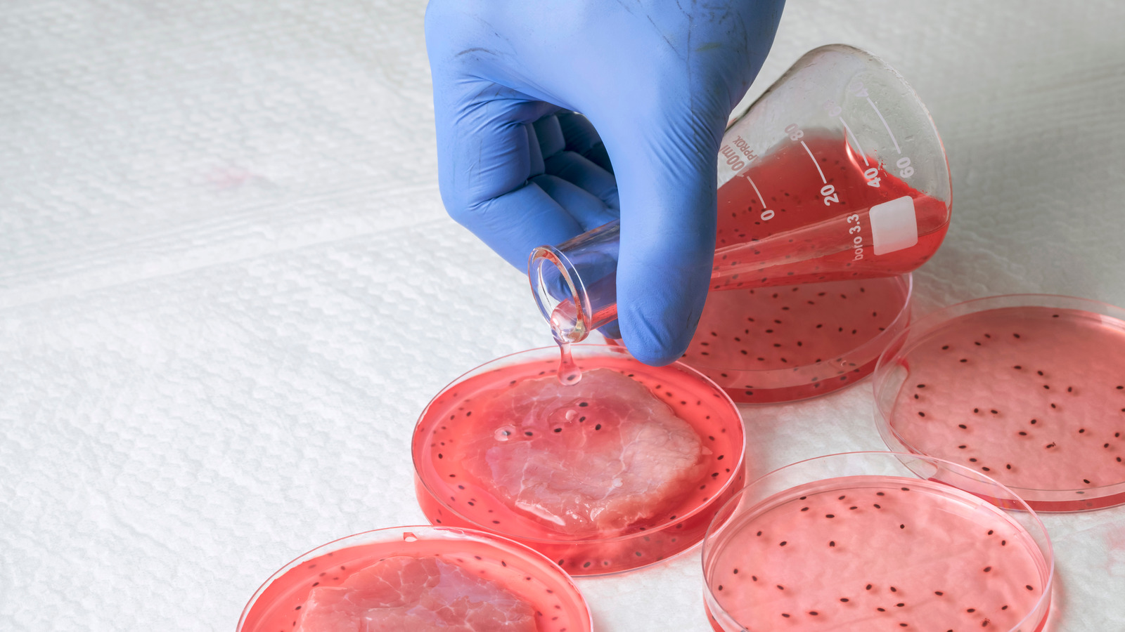 The Cultivated Meat Industry Just Expanded To Include A New Variety