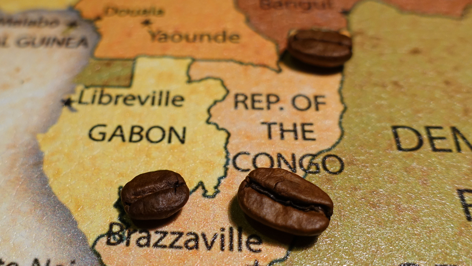 The Delightful Taste Of Congo Coffee Beans Makes Them Worth The Effort ...