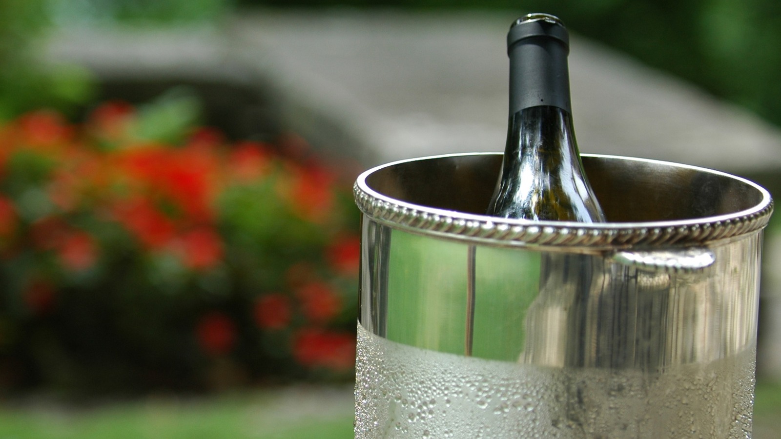 The DIY Frozen Bottle Chiller You Need For Fabulously Cold Wine