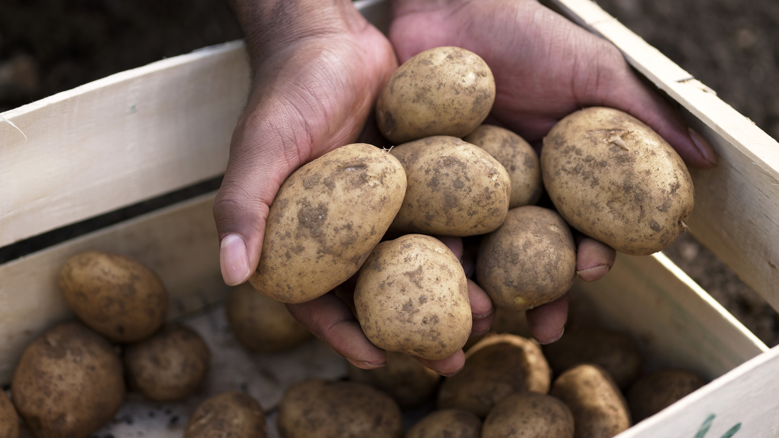 The Easiest Way To Wash A Bunch Of Potatoes At Once
