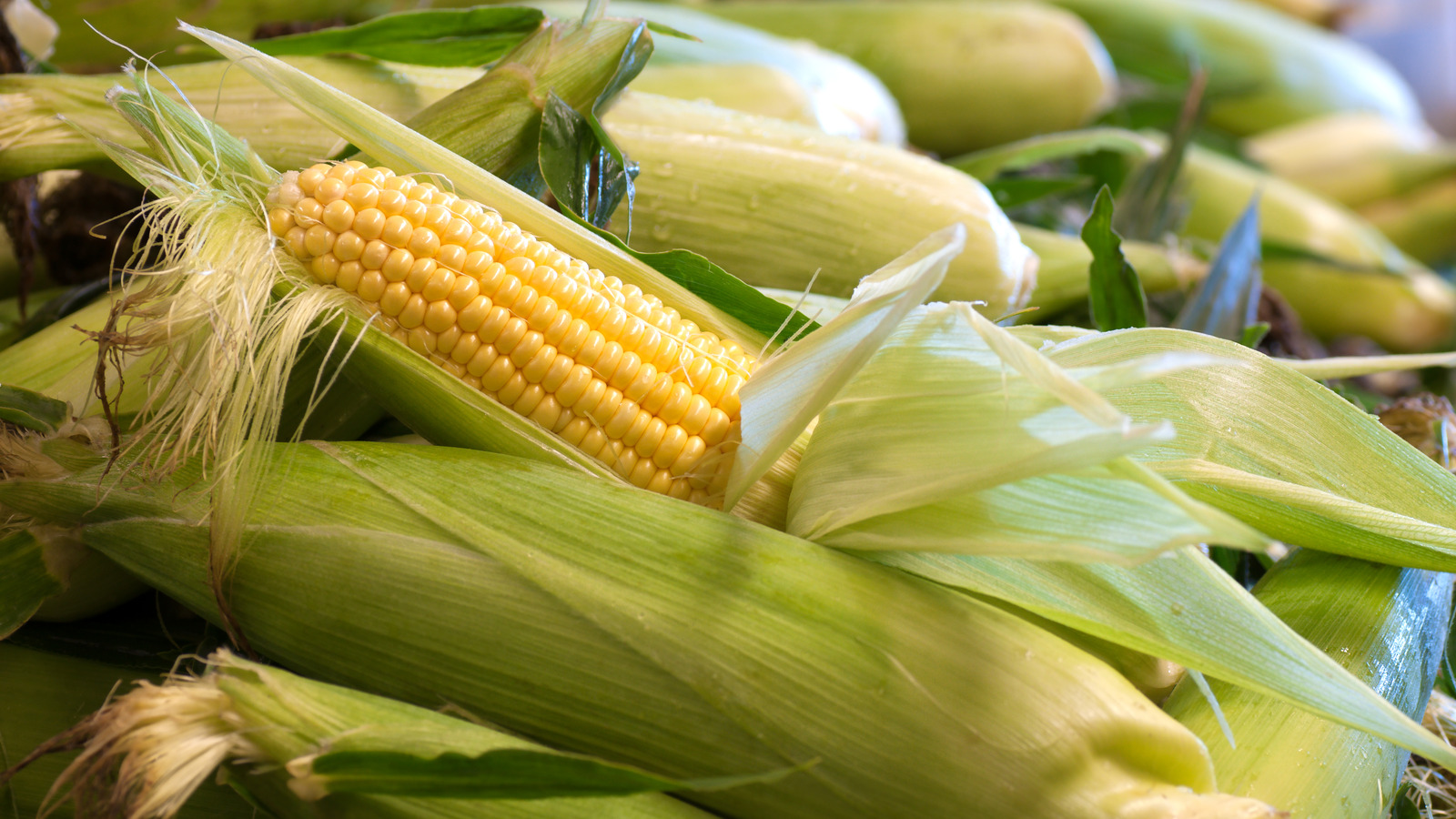 The Easy Step That Makes Shucking Corn Way Less Messy