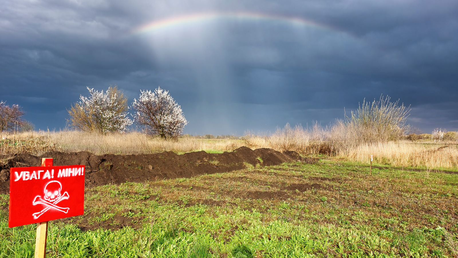 The Organization Turning 'Mines To Vines' In Ukraine's Vineyards