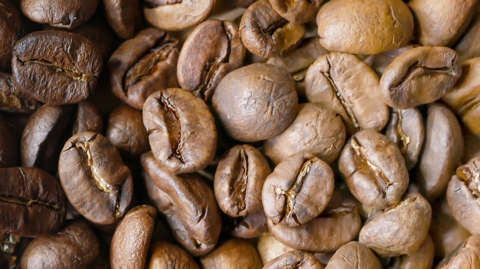 The Processing Technique That Makes Cinnamon Roast Coffee Unique