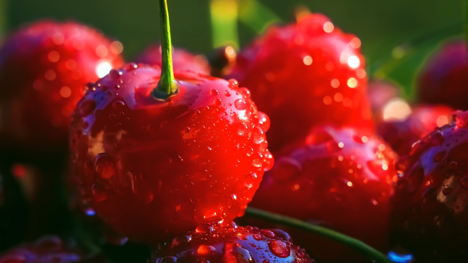 The Real Difference Between Sweet Cherries And Tart Cherries