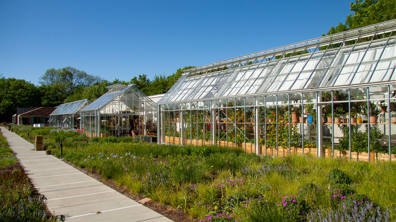 The Real Reason Noma's Menu Changes 3 Times Every Year