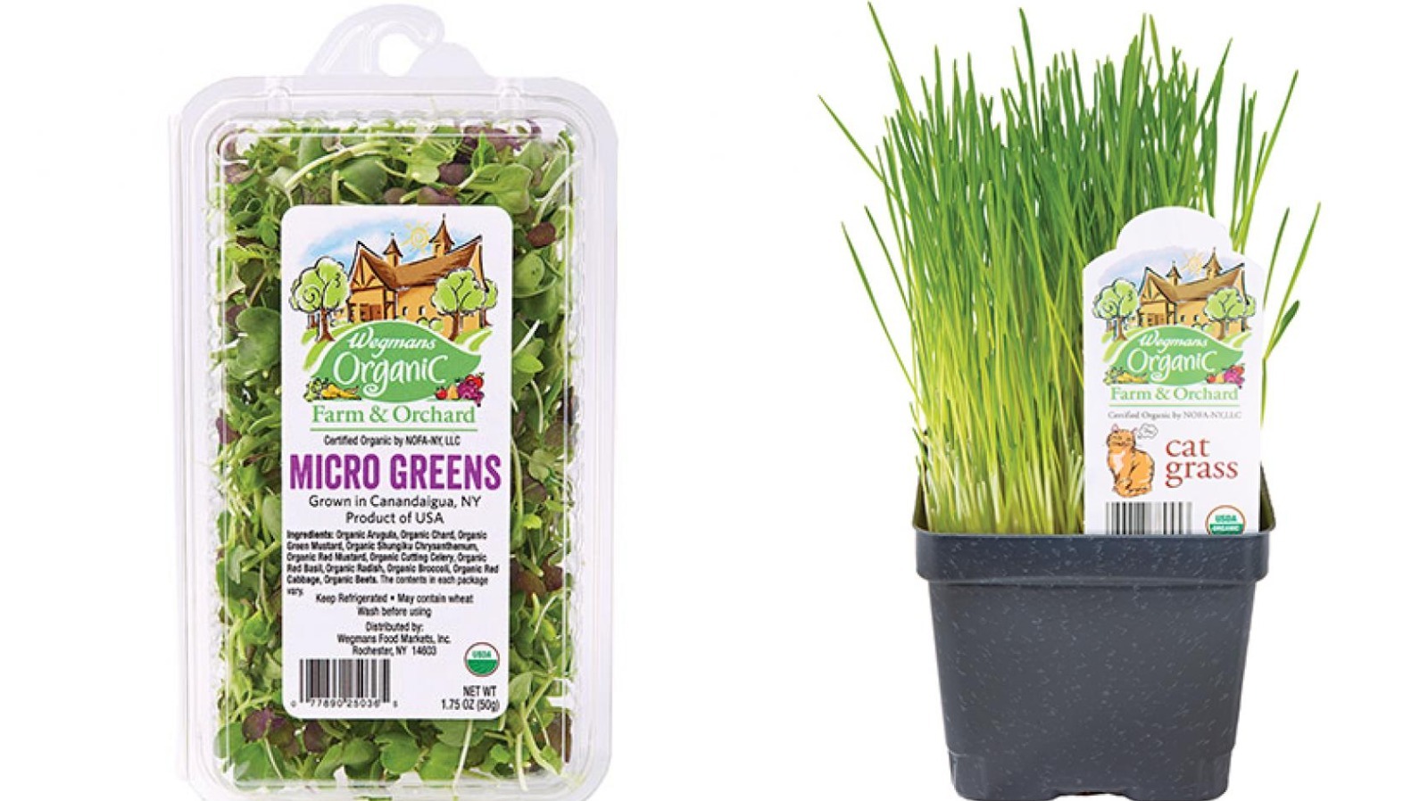 The Reason Wegmans Is Recalling Multiple Types Of Greens